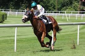 Equitation: un sportif israélien renonce à une compétition qui a lieu ...